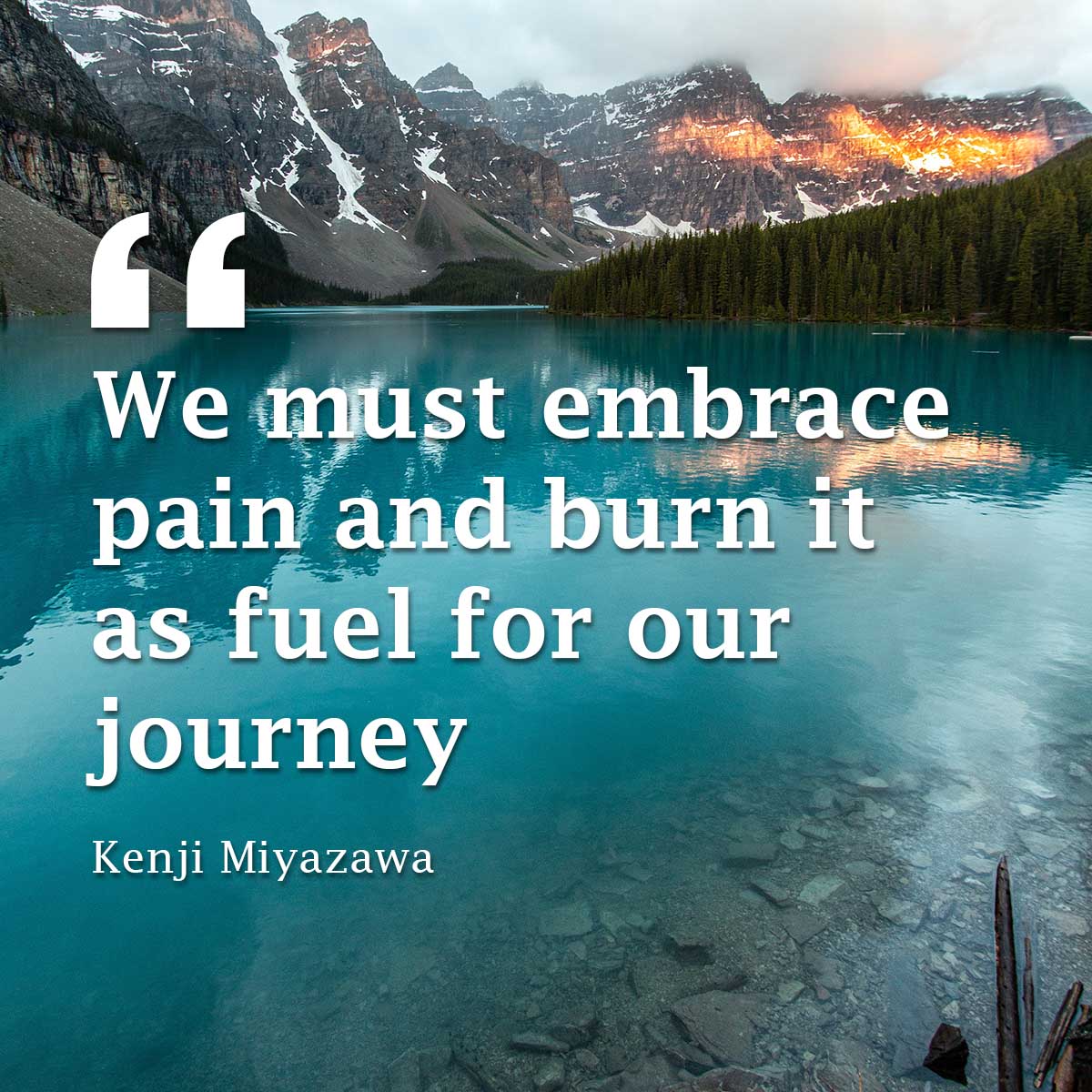 The 80 Best Inspirational Quotes - Driven