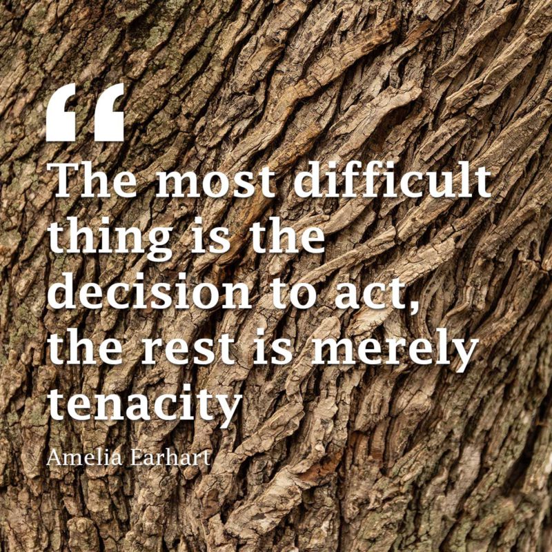 The 80 Best Inspirational Quotes - Driven