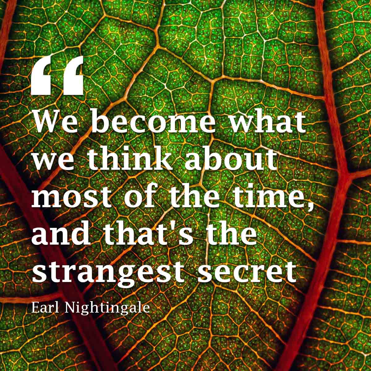 The 80 Best Inspirational Quotes - Driven