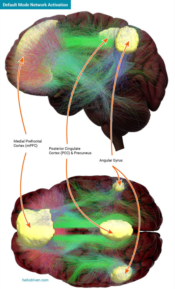 Default Mode Network in Peer Support - Driven Resilience